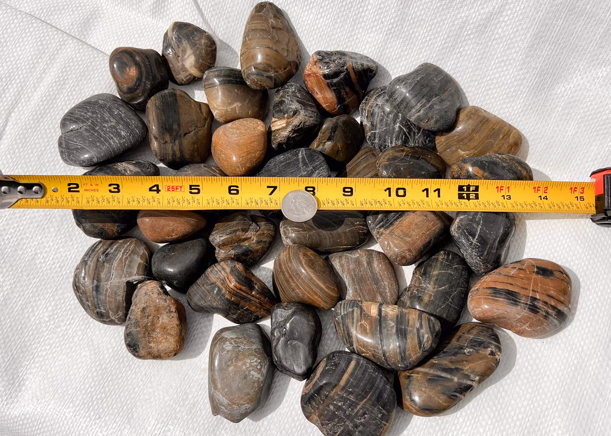 Polished Tiger Stripe Pebbles - Pop's Nursery